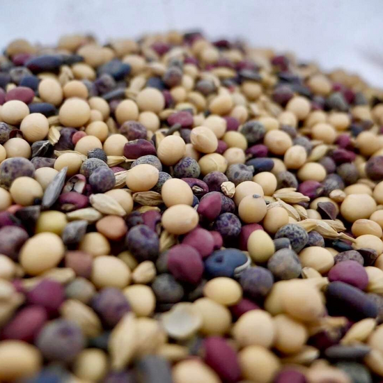 Nitro Boost – Vitalize Seed Company