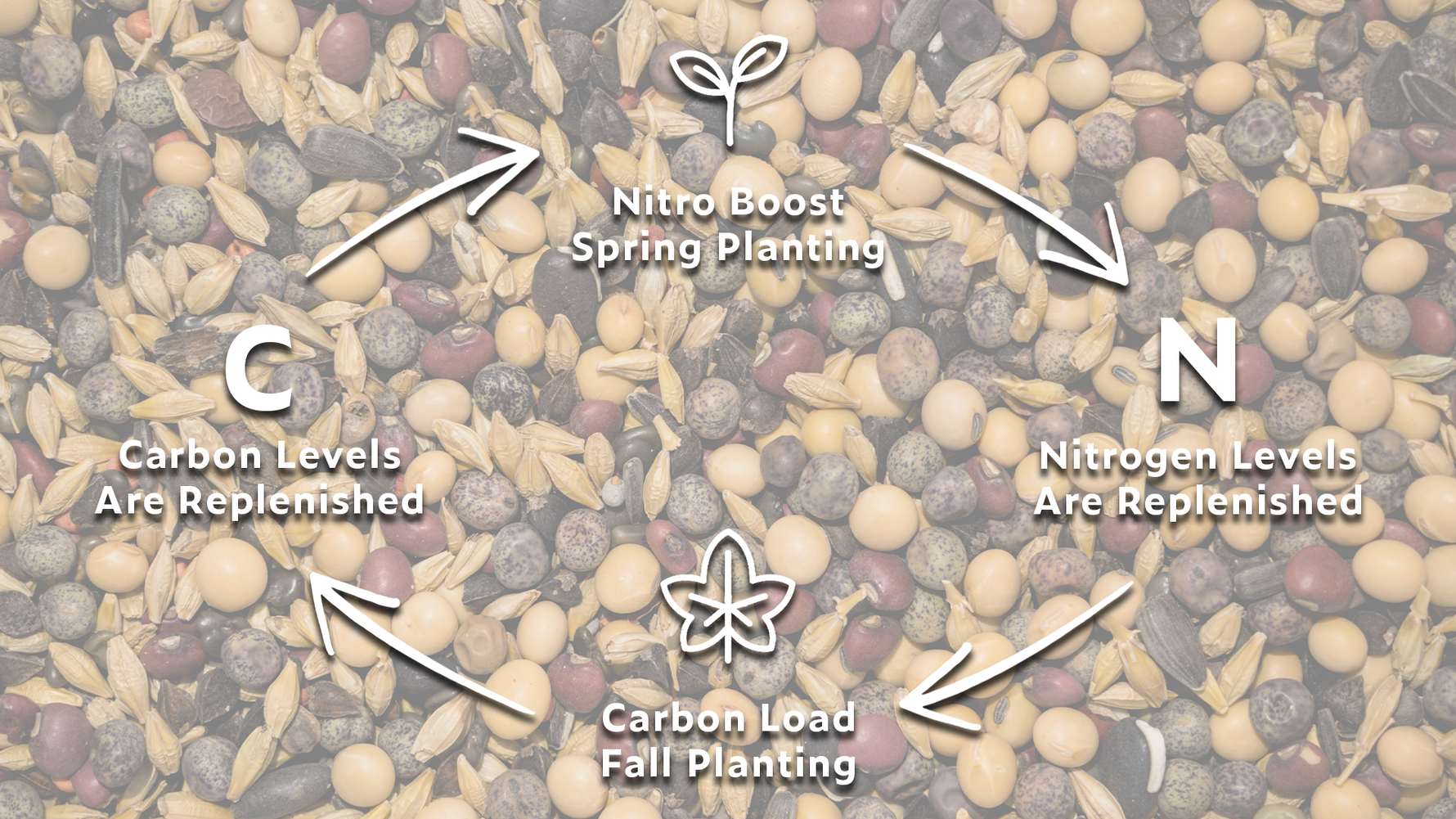 One-Two System | Regenerative Planting System | Vitalize Seed Company